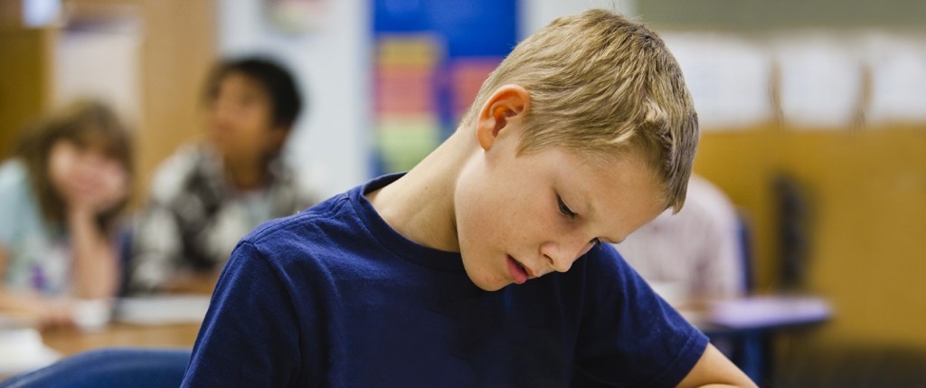 Desert Choice Schools